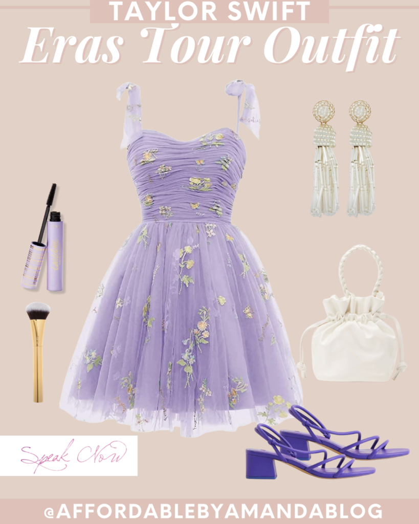 Outfits to Wear to the Taylor Swift Eras Tour - Affordable by Amanda